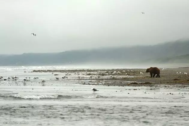 નતાલિયા સુડેટ્સ