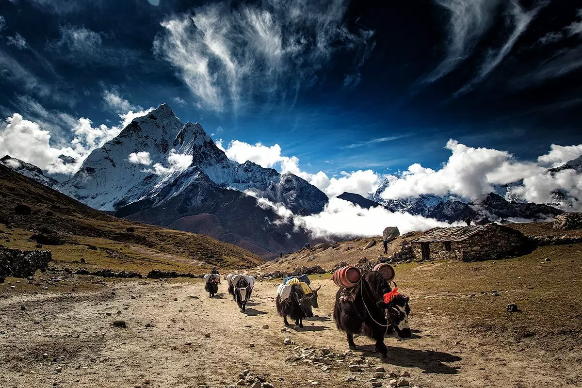 "Himalaja transportado de kargo" kaj aliaj fotoj de la semajno