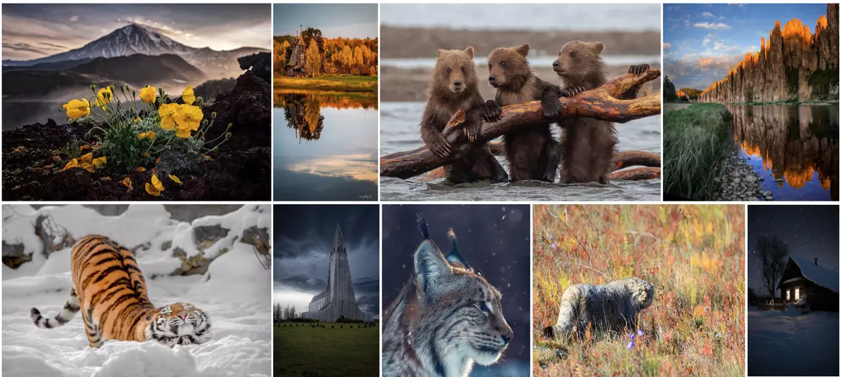 Disse 10 fotos erobrede det sociale netværk "National Geographic Russia" i 2020. Vælg det bedste!