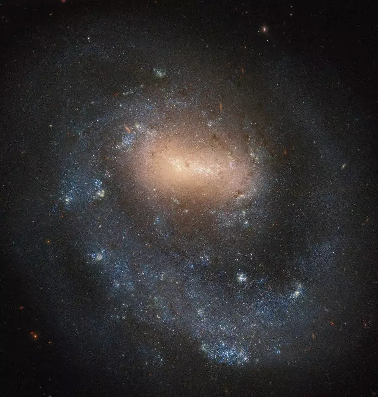 "Hubble" espiral galaxia bat harrapatu zuen mahuka batekin