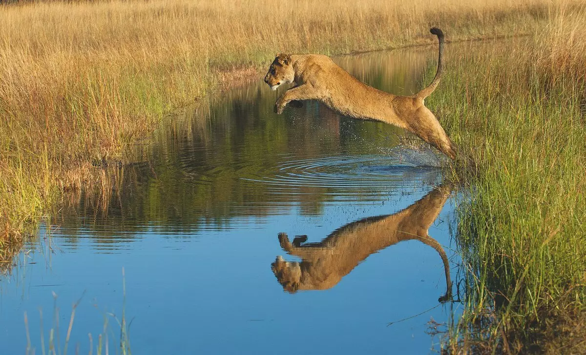 Sergey Gorshkov :