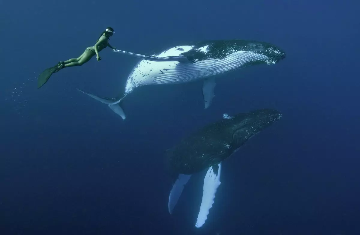 "Flugoj en sonĝo kaj realo" kaj aliaj fotoj de la semajno