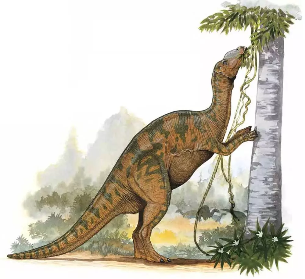 В hadrosaur от Канада са намерили рядка форма на рак