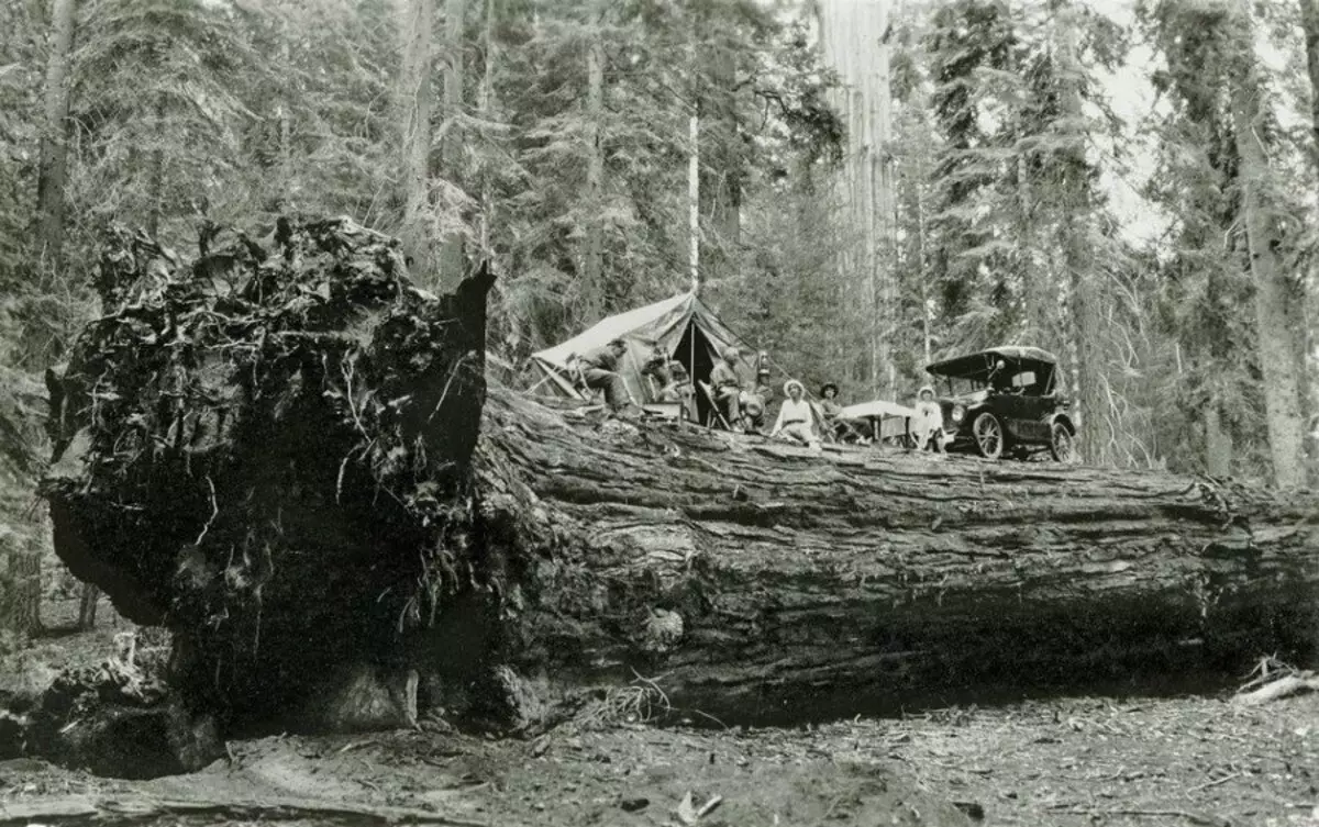 Lemn Parish: Fotografie din arhiva