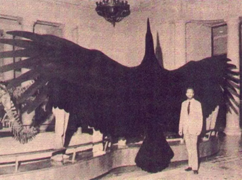 ყველაზე დიდი ცნობილი მეცნიერების მფრინავი ფრინველი