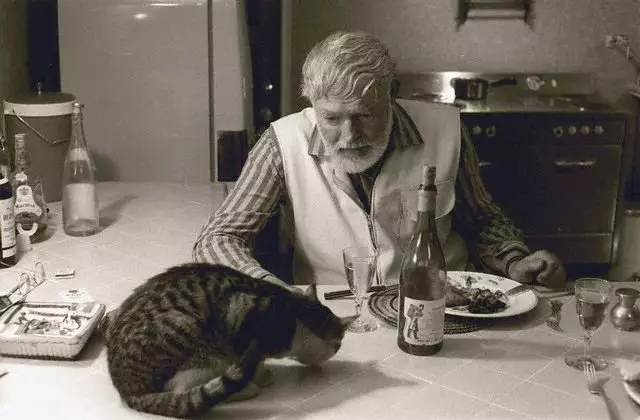 Ongebruikelijke katten Hemingway