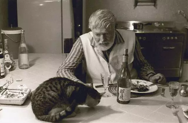 Ucing Ucing Hemingway