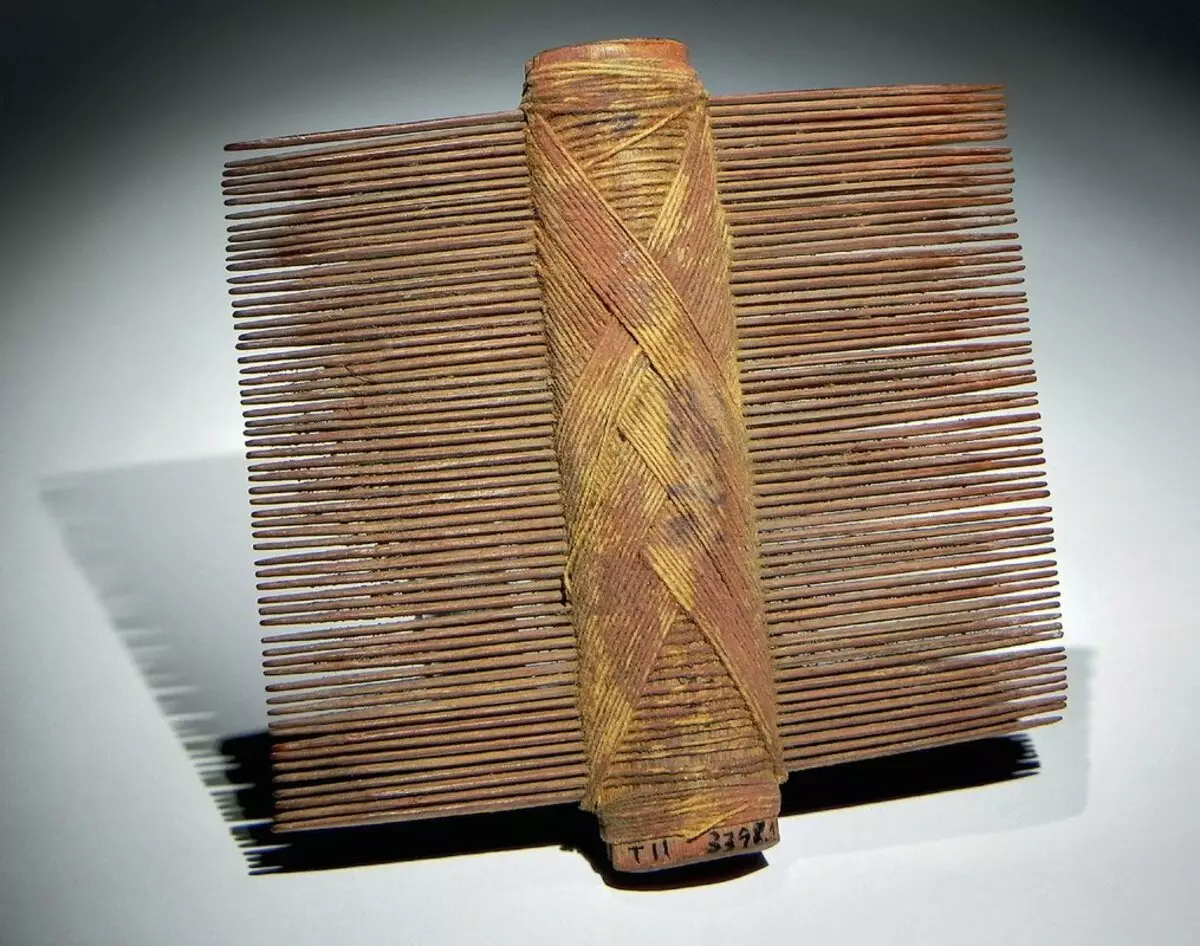 Mystery Comb from ancient Chile