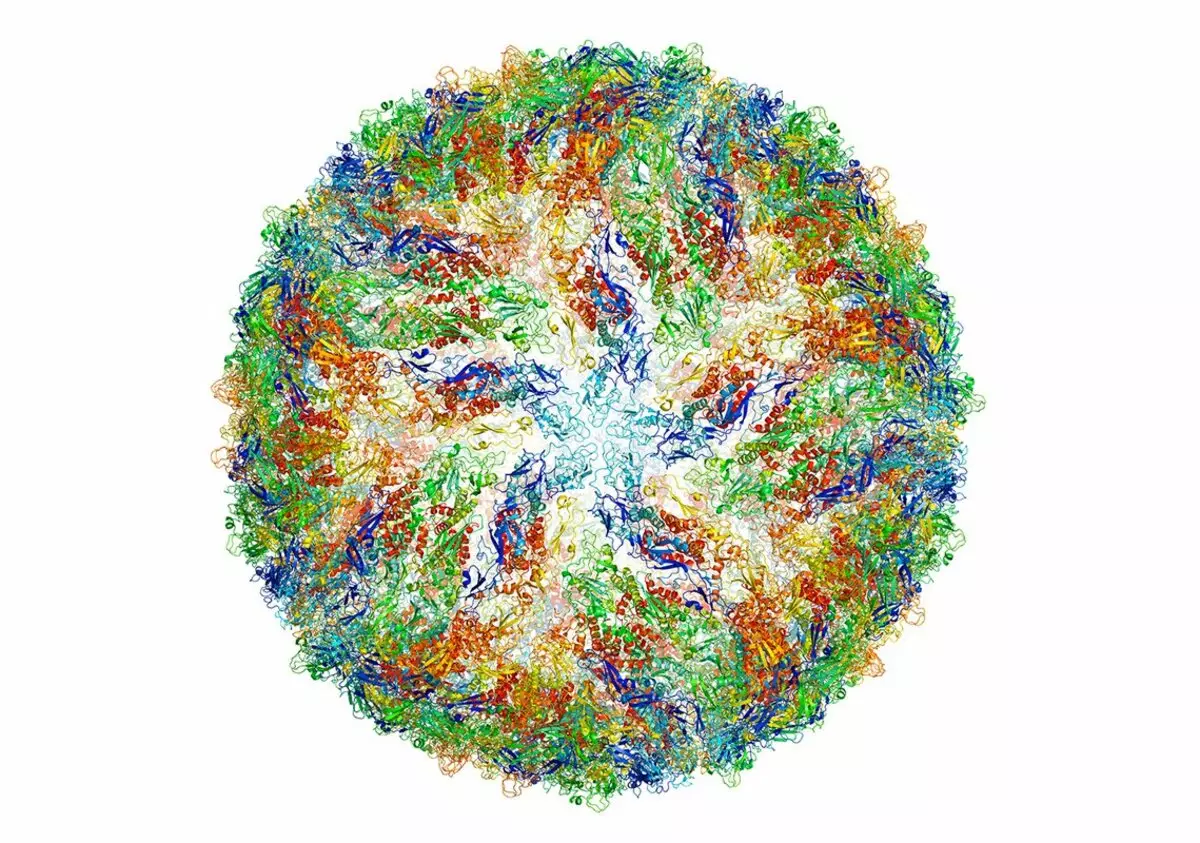 Biochemical Umdrehung: siehe Atomen