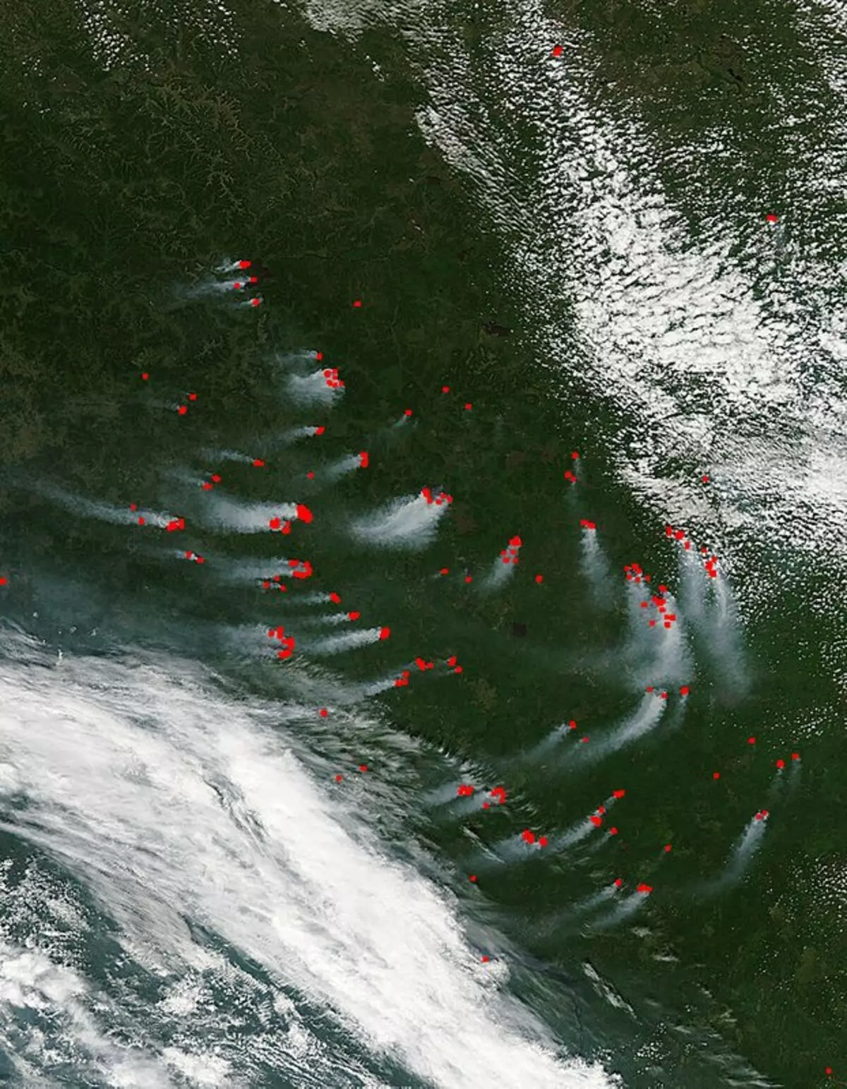 Kebakaran hutan di Rusia: Apa yang berlaku sekarang