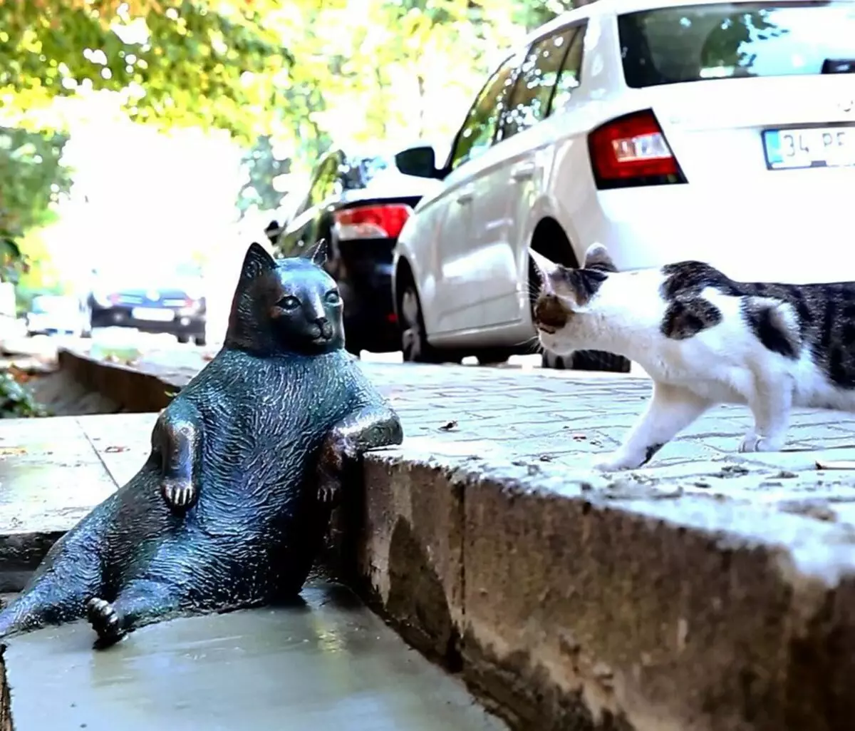 Tugu kanggo kucing pemikir sing dicolong ing Istanbul