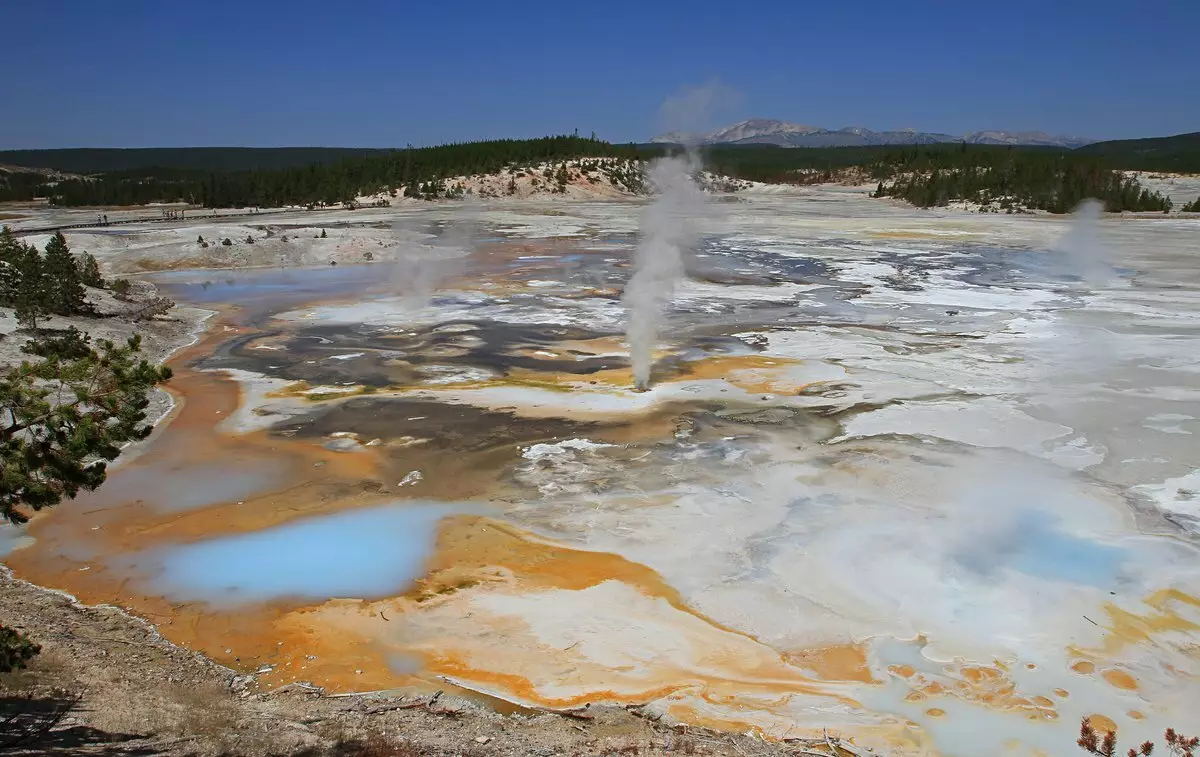 Turisto estis dissolvita en la acida fonto de la Yellowstone Park
