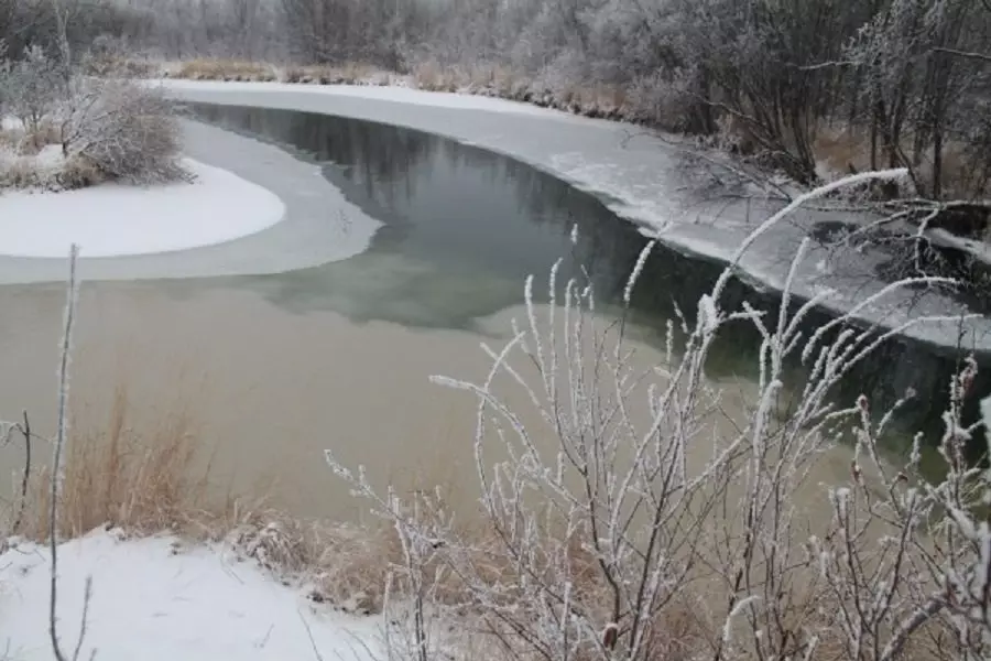 أصبح النهر الأبيض في منطقة مورمانسك ميتا بسبب الألومنيوم