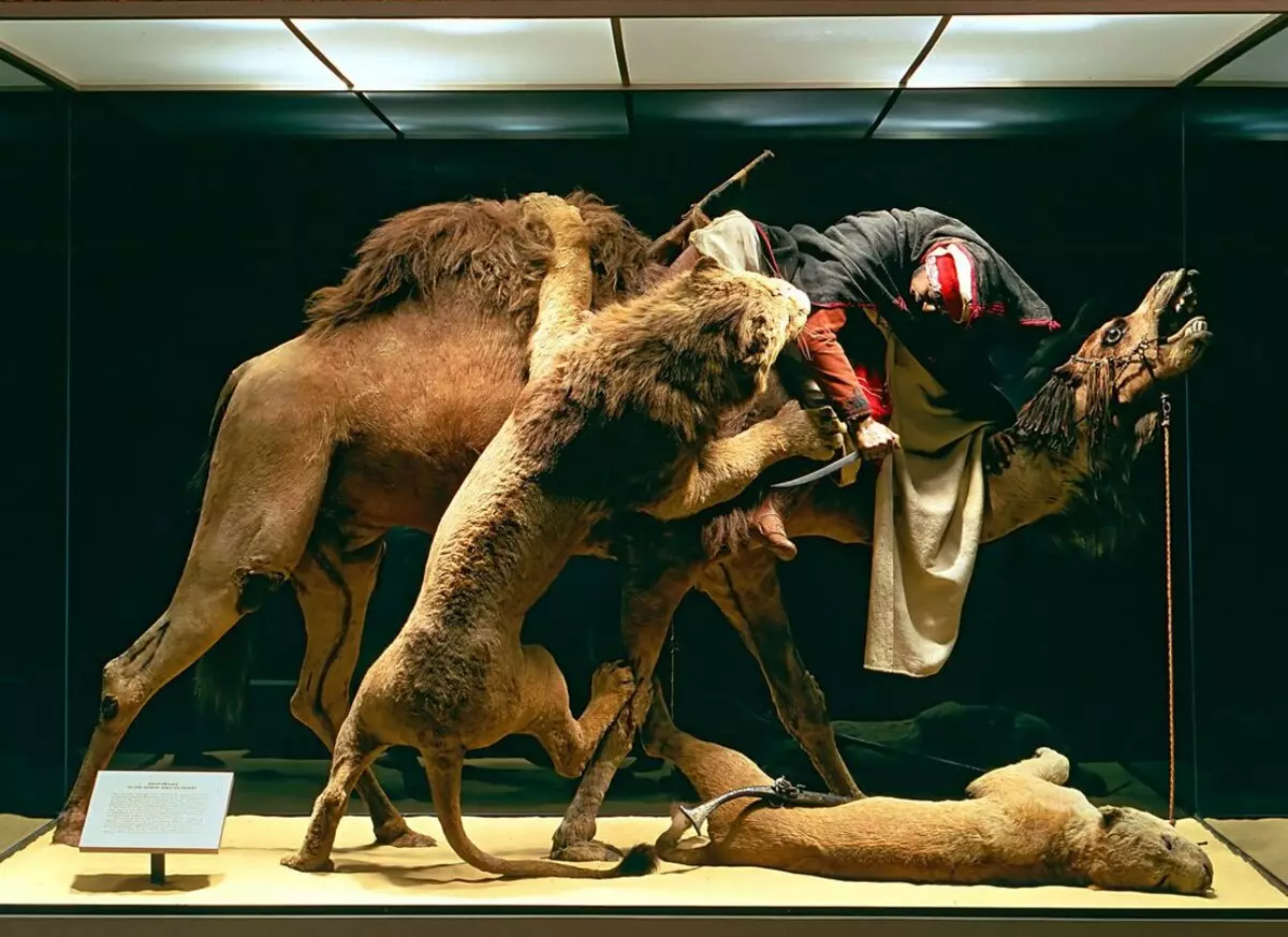 Udstillingen af ​​det amerikanske museum gemte menneskelige rester