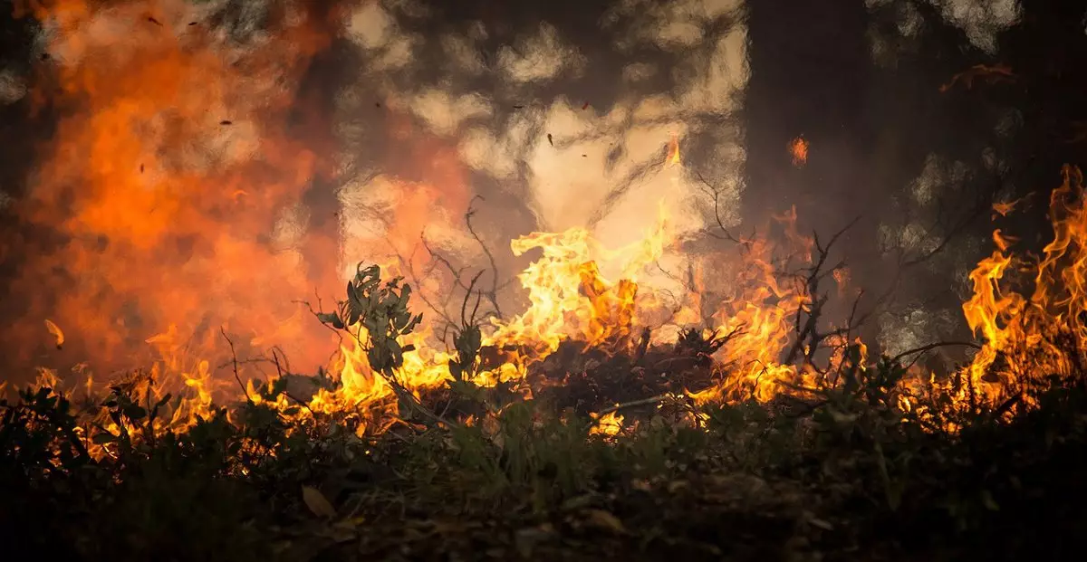 NASA: Siberian fires - ang pinaka-ambisyoso para sa 10 libong taon