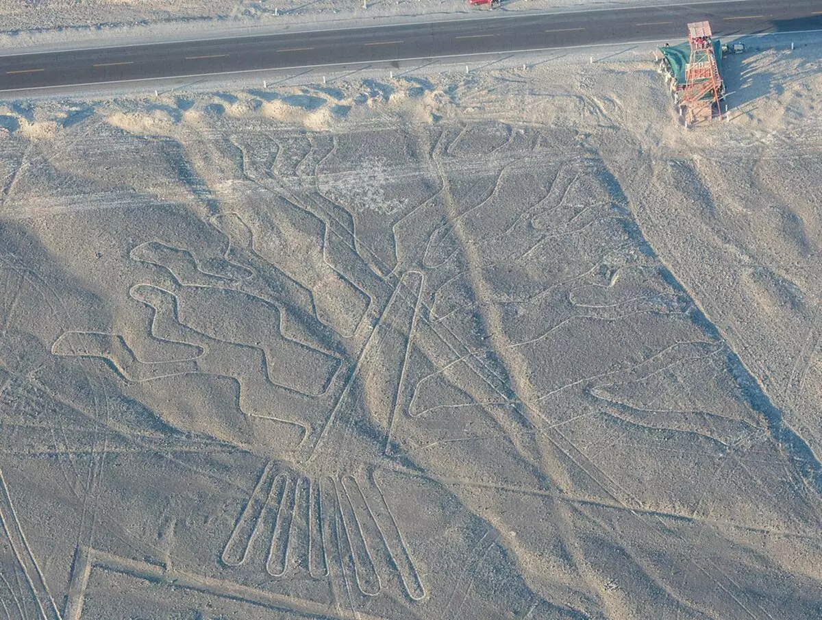 Deur Geoglyphs het Naski 'n vragmotor gery: Video