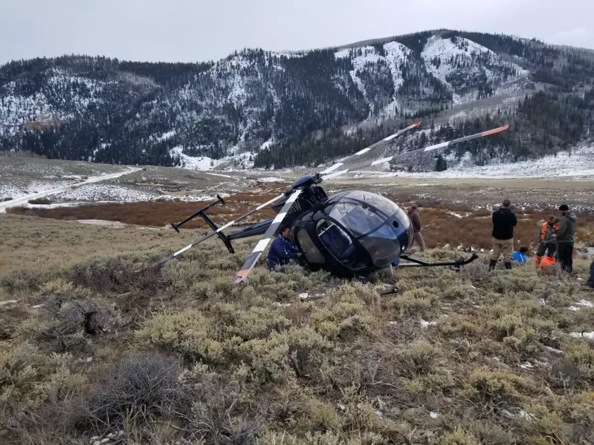 Nos EUA, o veado causou um helicóptero