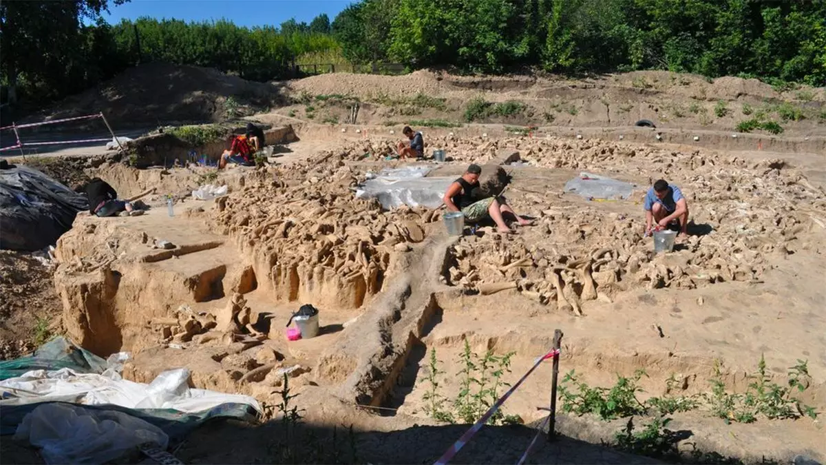 I Voronezh-regionen fant en stor hytte fra beinet av mammut