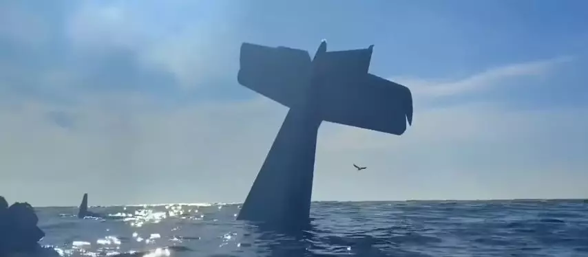 Loro wong slamet sawise musim gugur pesawat kasebut ing Samudra Pasifik: Video