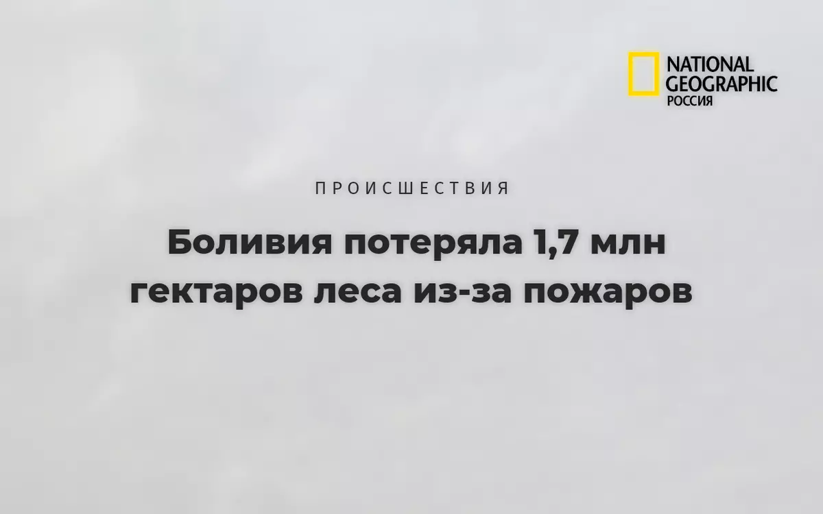 Боливия өртке байланысты 1,7 миллион гектар орманды жоғалтты