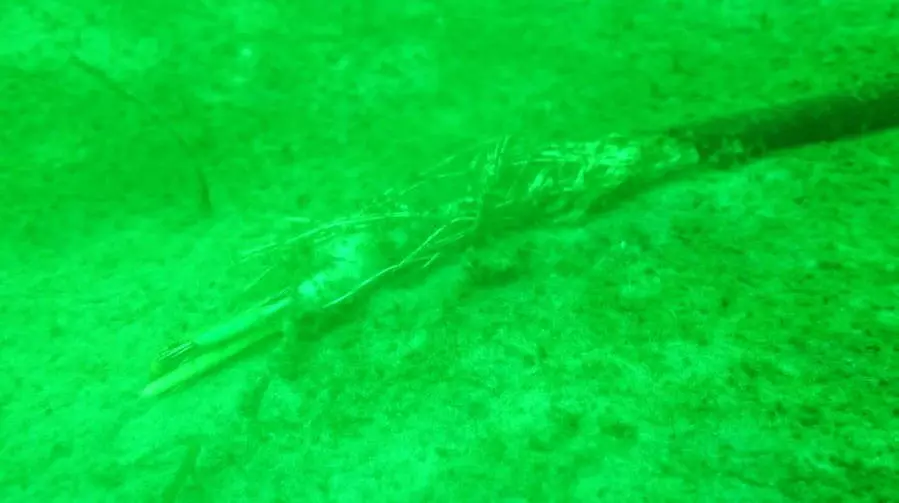 Do fundo do Mar Báltico, o Observatório Subaquático desapareceu sem traço