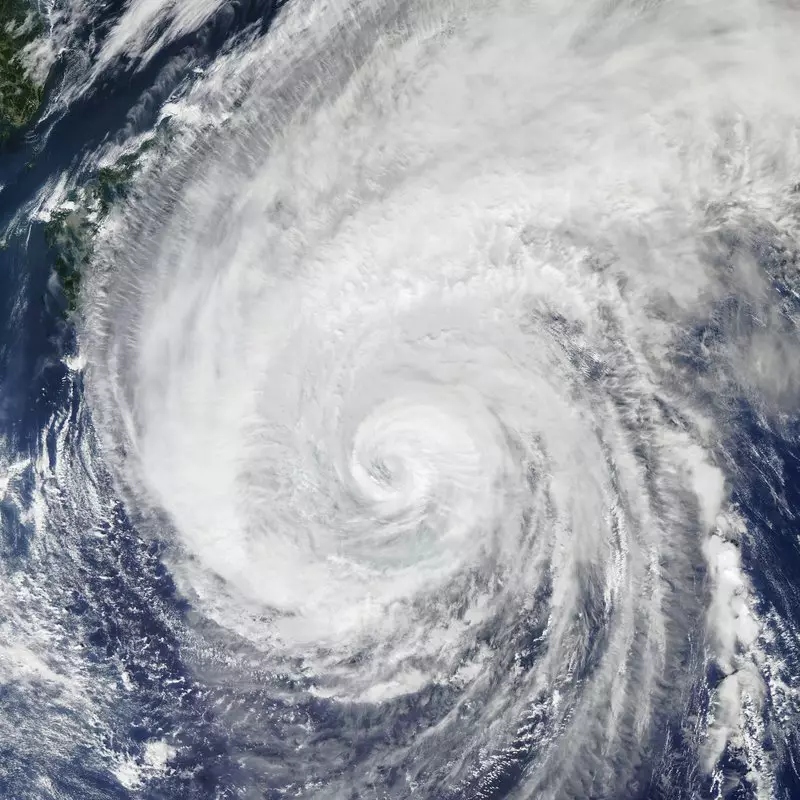 過去60年間で最も強い台風：日本における「ヒビシス」の結果