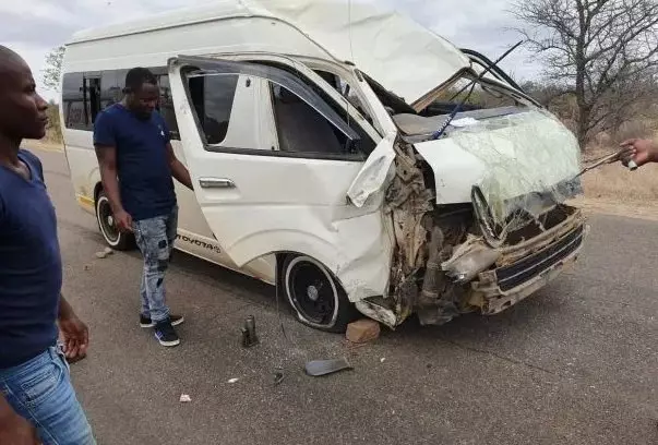 Minibus sareng wisatawan nabrak kana jerapah di Sfifari Taman