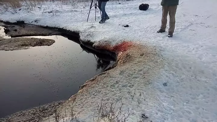 Bloody Lake Under Omsk: Var kom det ifrån och vad man ska göra med honom nästa?