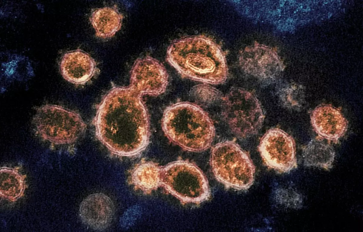 उहानामध्ये, 1 9 5 लोक कोव्हीड -1 9 सह पुन्हा संक्रमित झाले