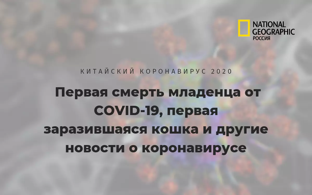 Den första döden av barnet från COVID-19, den första smittade katten och andra nyheter om Coronavirus