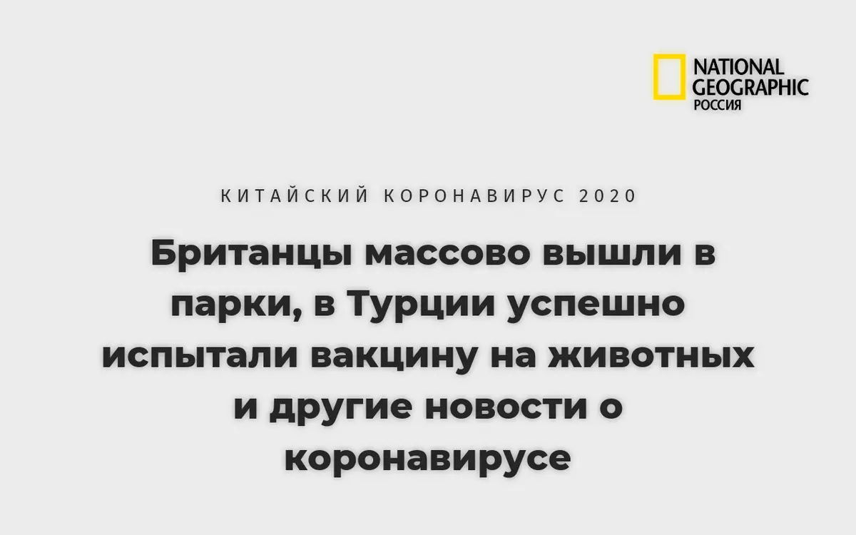 英国大型达到公园，在土耳其成功地经历了关于动物和其他关于冠状病毒的其他新闻的疫苗