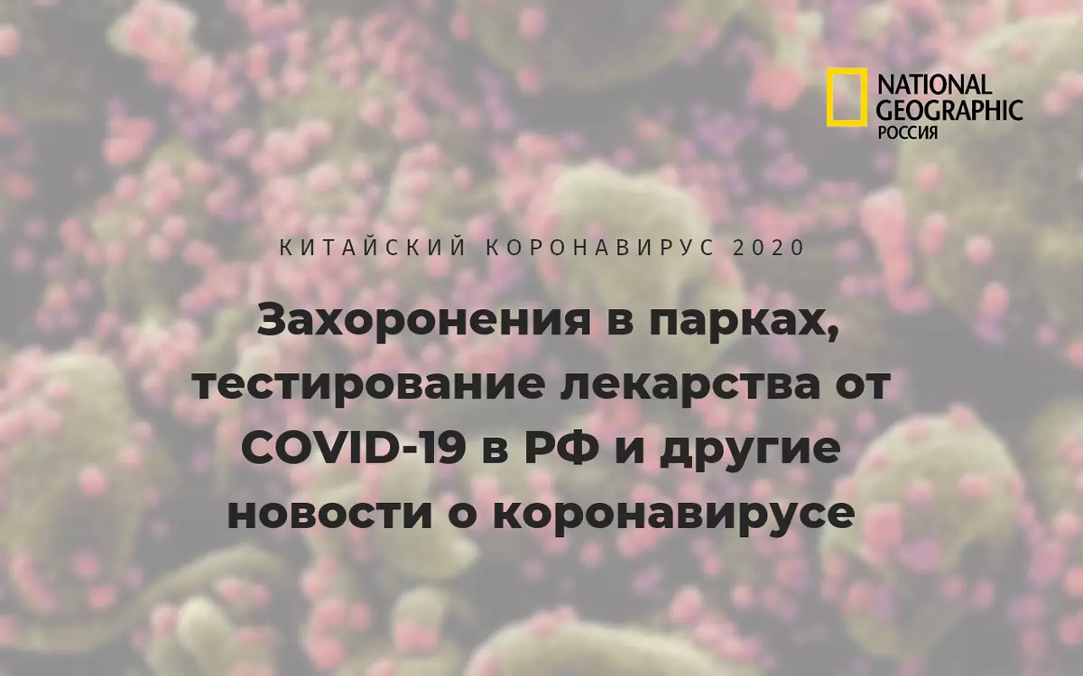 공원에서 매장, 러시아에서 Covid-19의 약물 및 Coronavirus에 관한 기타 뉴스