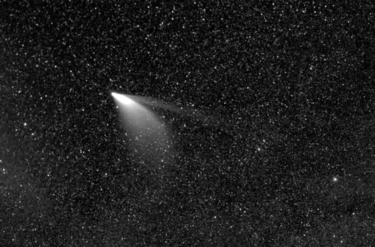 Comet neoweri.