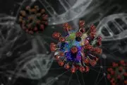 Virus corona