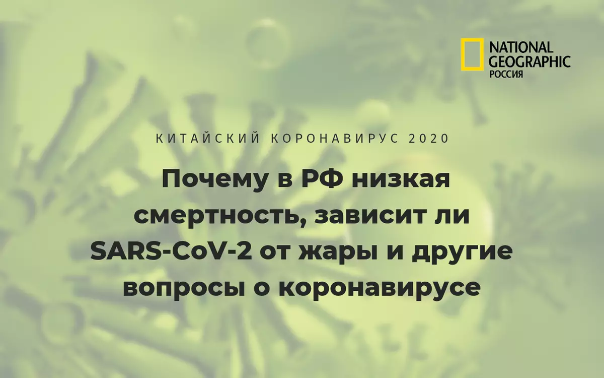 Wêrom yn 'e Russyske Federaasje is lege mortaliteit, of SARS-COV-2 hinget ôf fan' e waarmte en oare fragen oer Coronavirus