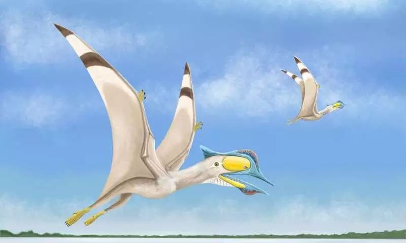 Il-fdalijiet ta 'pterosaur bla snien skoperti fl-Afrika