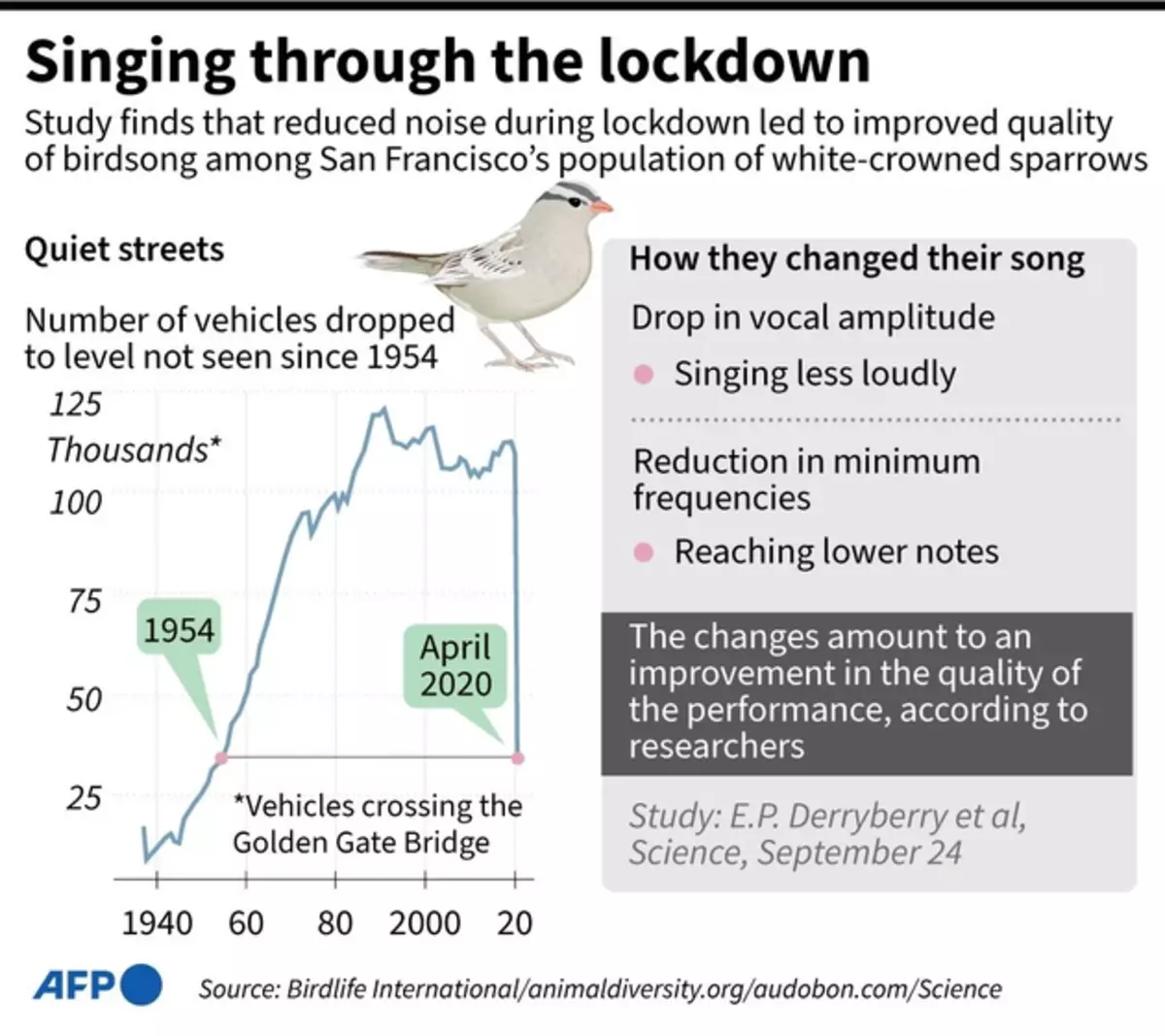 singingthrou.webp.