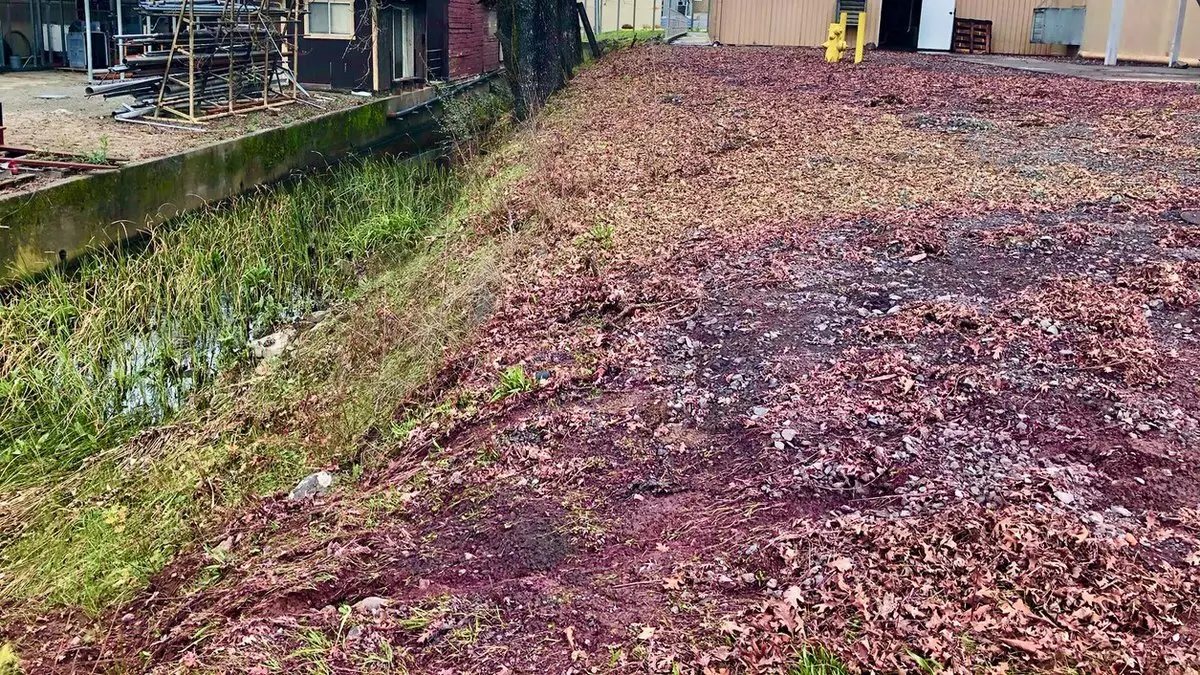 Skoraj 200 tisoč litrov vina je povzročilo rusko reko: video