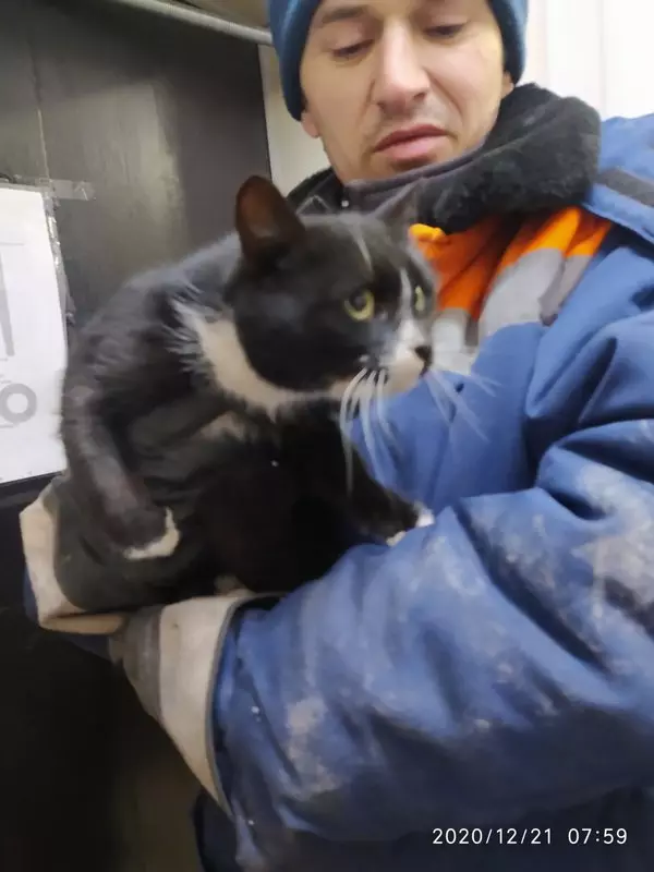 Katt i en pose: På avfallssorteringskomplekset i pakken fant et kjæledyr