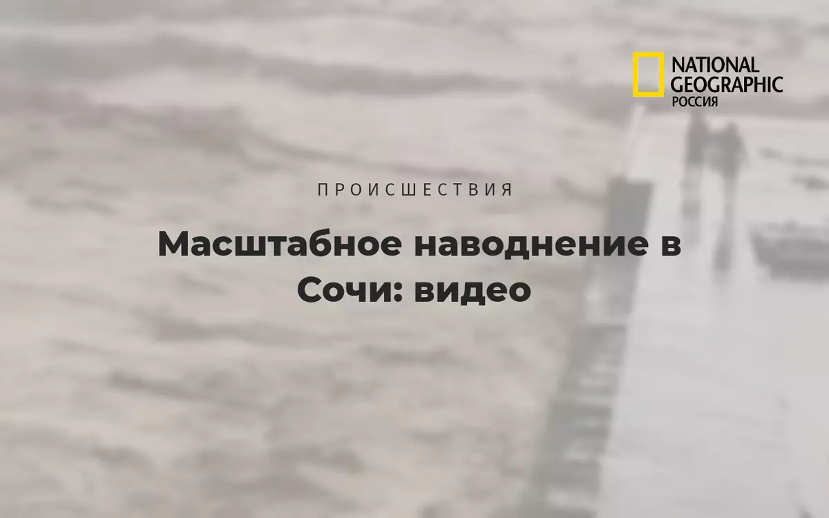 Velika poplava v Sochi: Video