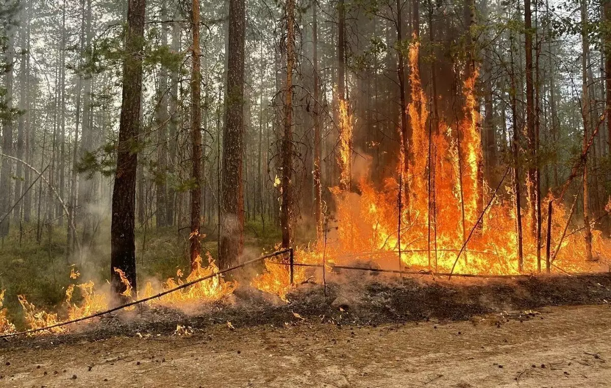 Daugiau nei 4000 hektarų miško deginant Karelijoje, vietiniai gyventojai yra evakuoti