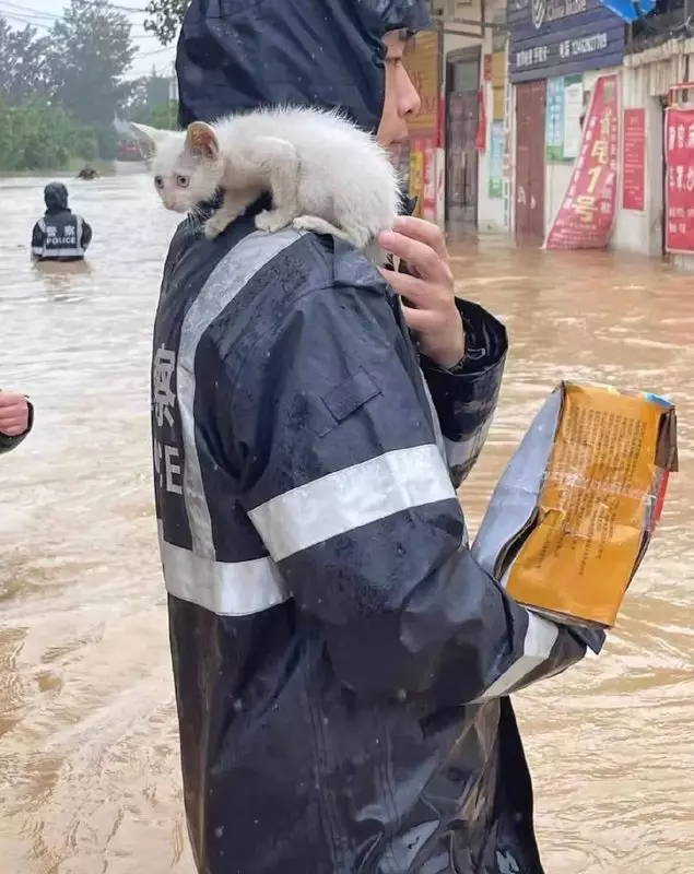 Scary Flood in het centrum van China: 33 mensen stierven