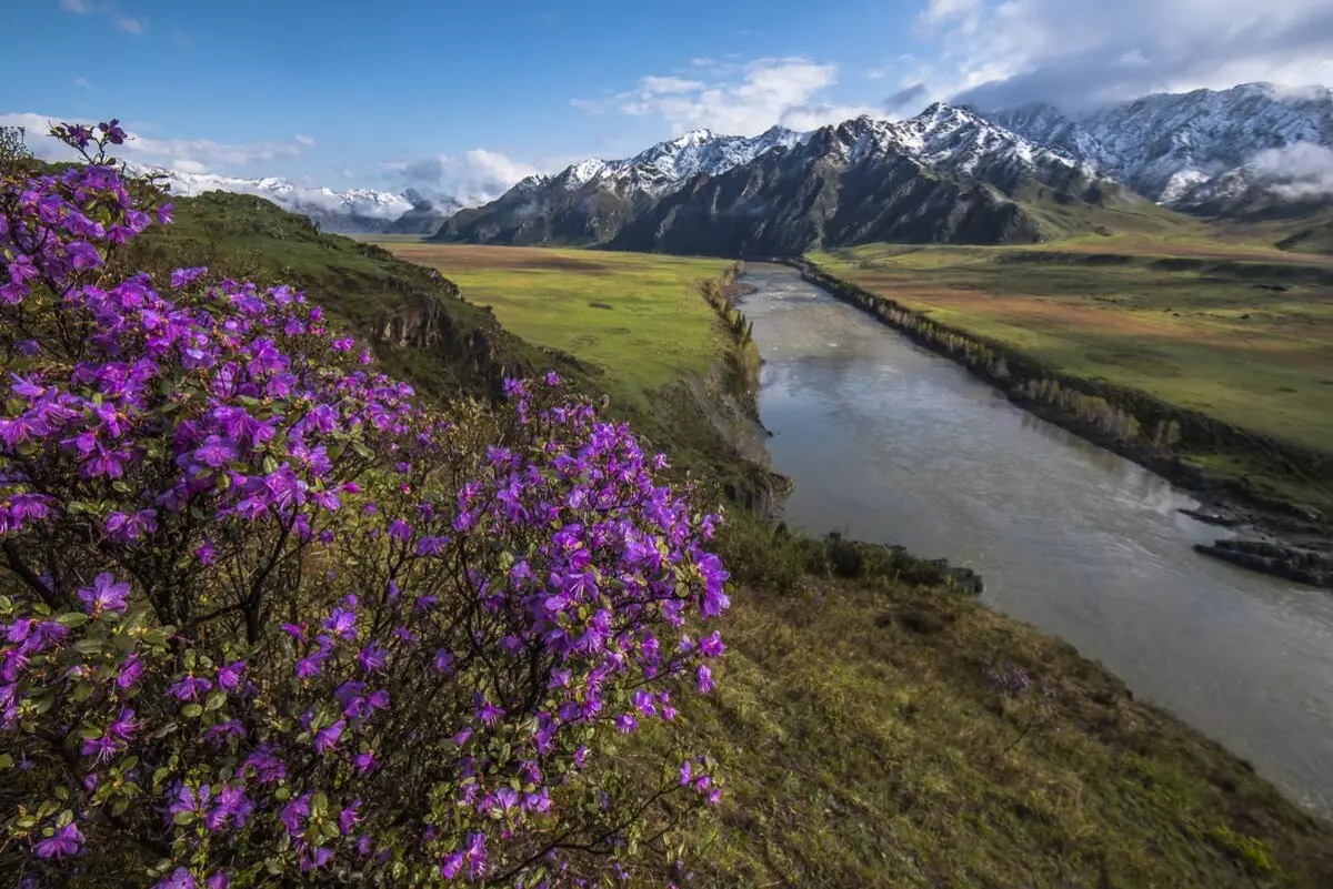 Shiga a cikin photoctification a kan Altai da National Geographic Rasha!