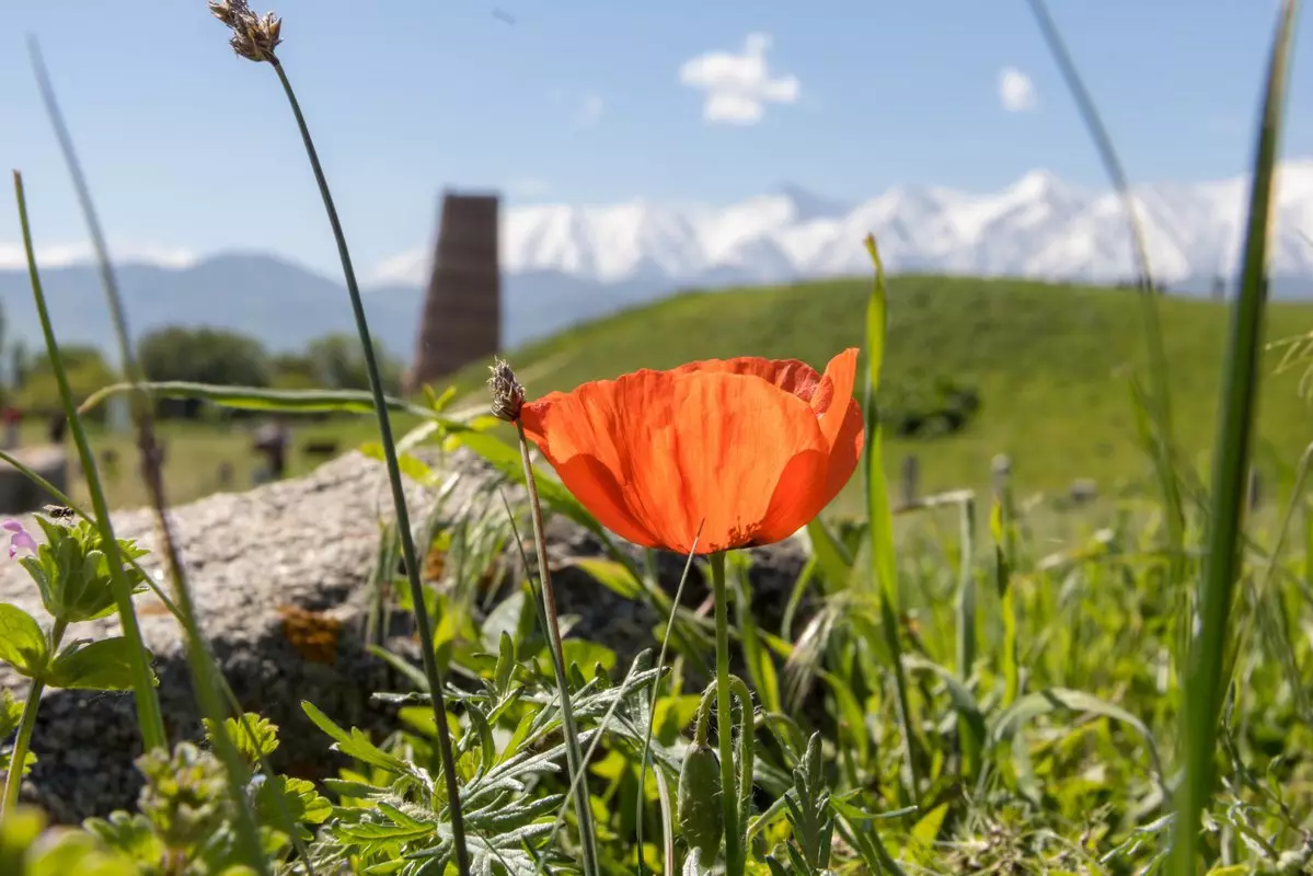 Phototour hauv Kyrgyzstan: Nws yog li cas?