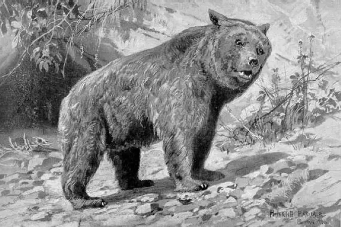 Yn yr ogof y Crimea a ganfuwyd esgyrn yr Etruscan Bear