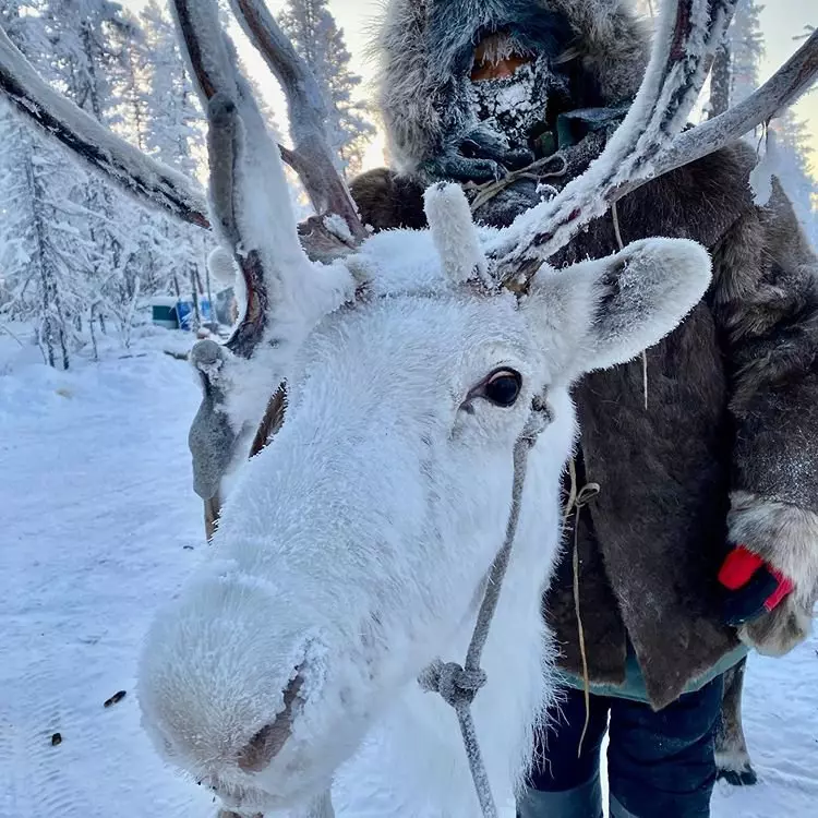 Снимајте топла зима во Yakutia: -14 ° C!