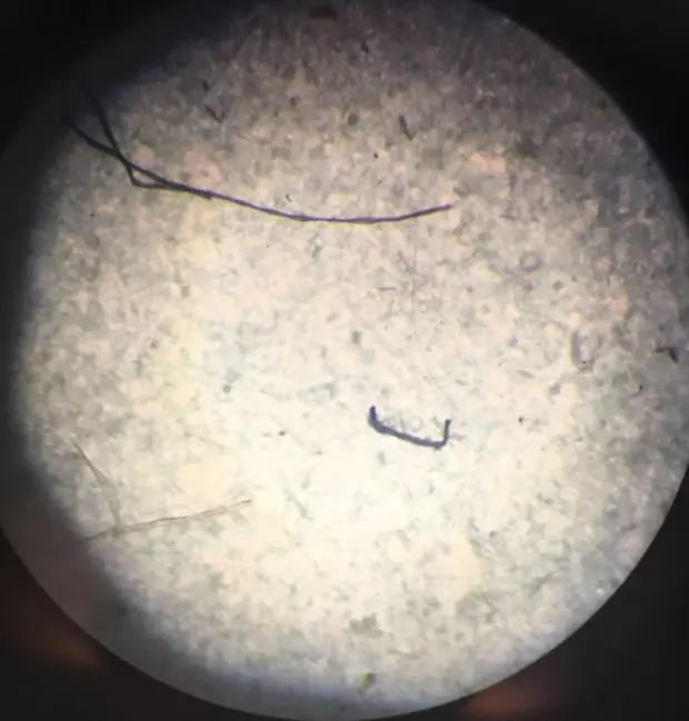 Беренче тапкыр Антарктида бозында алар микропластик таптылар
