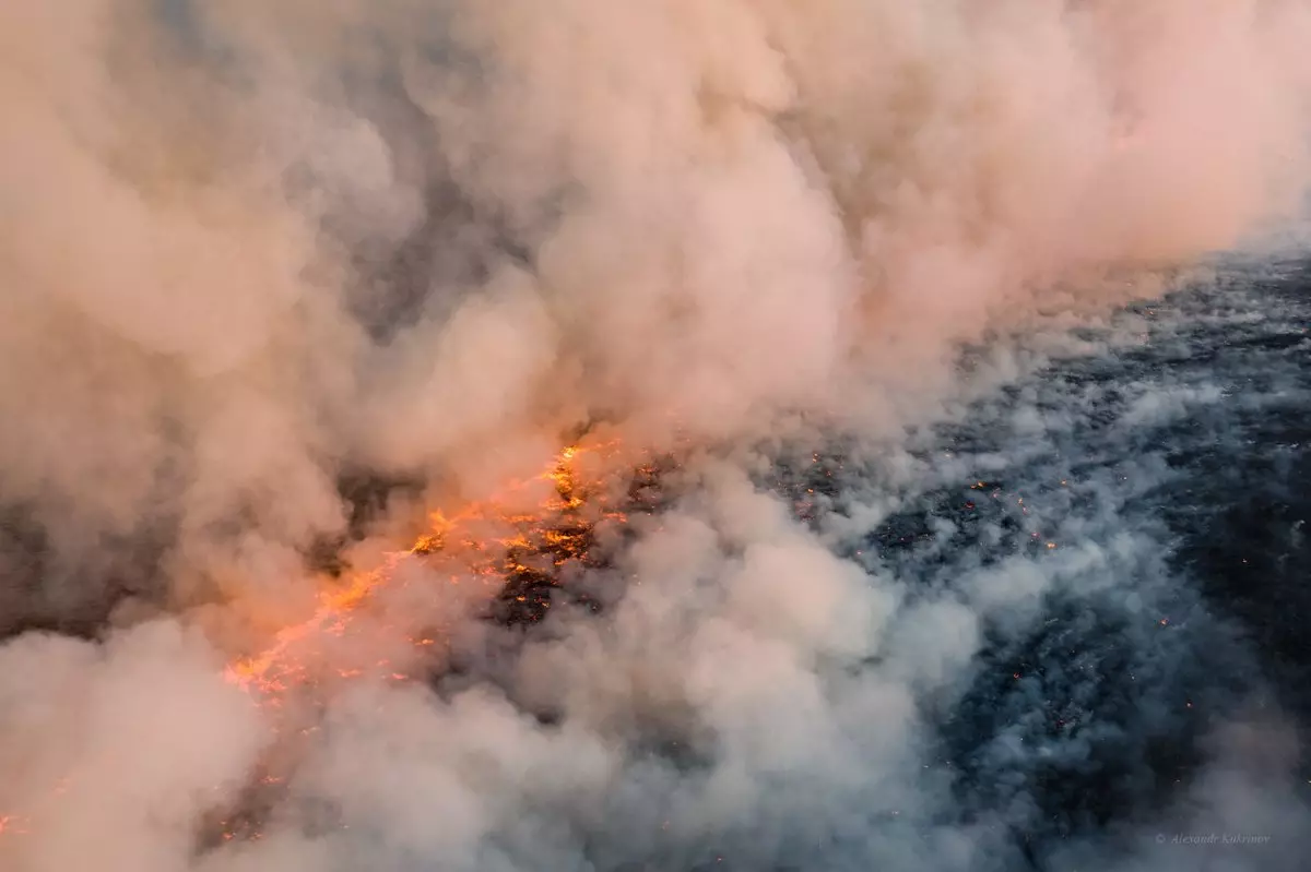 Rusya'daki Bahar Yangınları 13.500.000 doğal bölge geçirdi. Bütün Yunanistan'dan daha fazlası