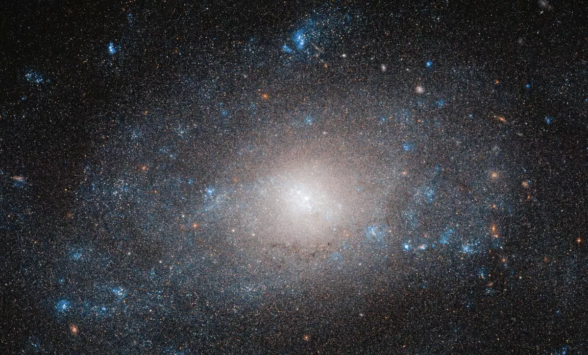 NGC 5585: မှောင်မိုက်သောလျှို့ဝှက်ချက်နှင့်အတူအာကာသအလှအပ