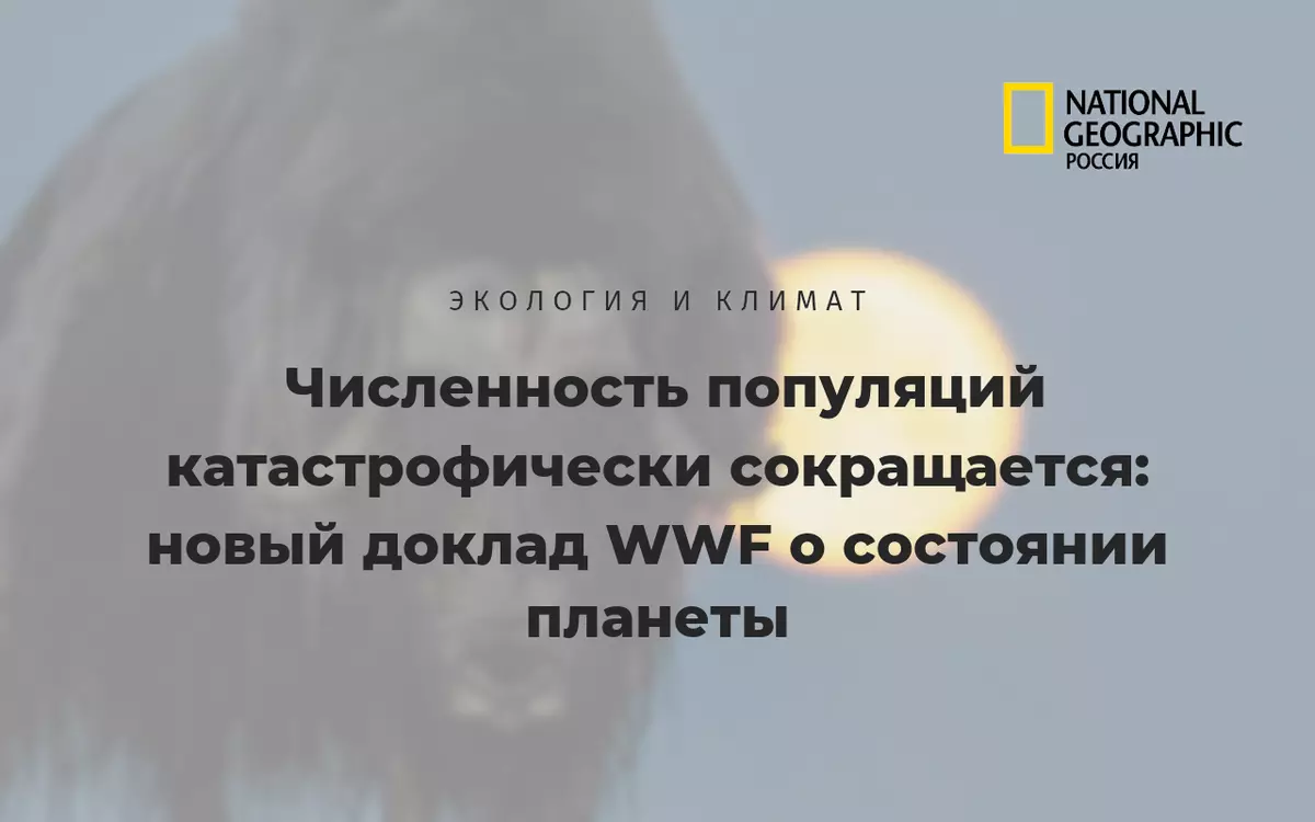 Populacije so katastrofalno zmanjšane: novo WWF poročilo o stanju planeta